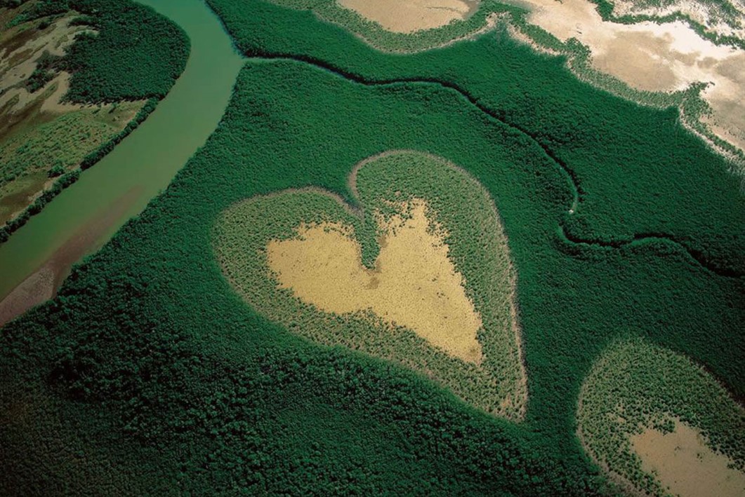 PATTERNITY | Pattern Design, Research & Experiences