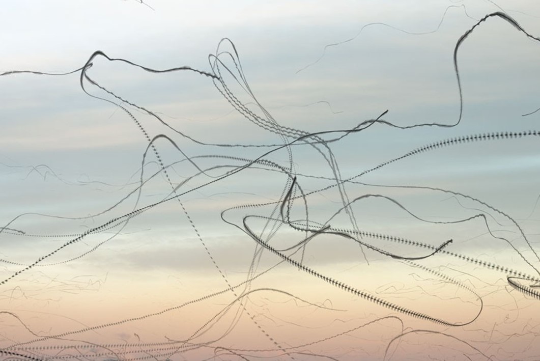 PATTERNITY | Pattern Design, Research & Experiences